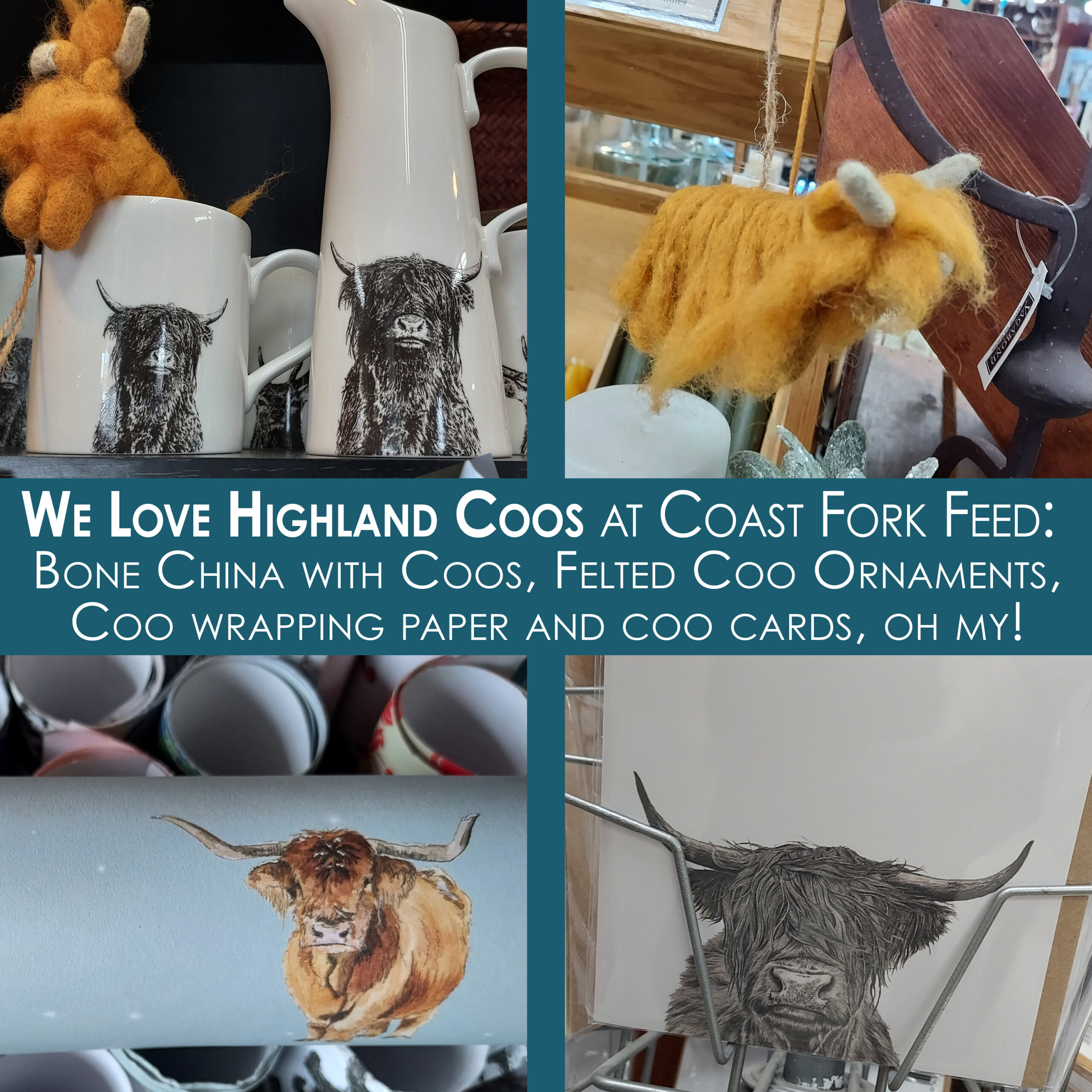 We Love Highland Coos | Coast Fork Brewing and Retail Shop